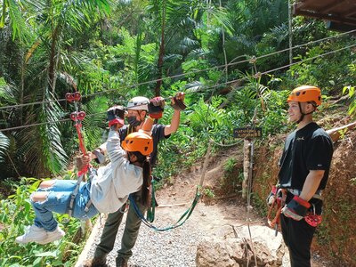 Tour de Canopy | Gamboa | Boquete Tree Trek
