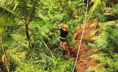 Gamboa | Boquete Tree Trek