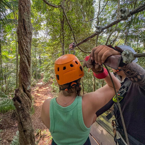 Tour de Canopy | Gamboa | Boquete Tree Trek