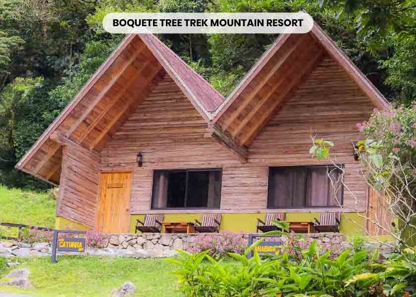 Habitación doble-Hotel Boquete Tree Trek Mountain Resort | Balaena ...