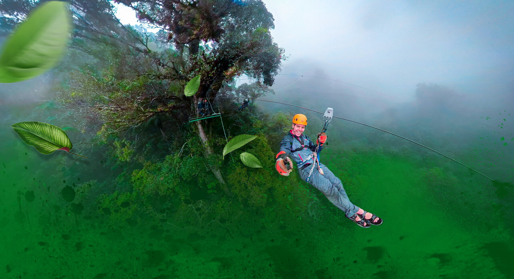 Tours | Boquete Tree Trek